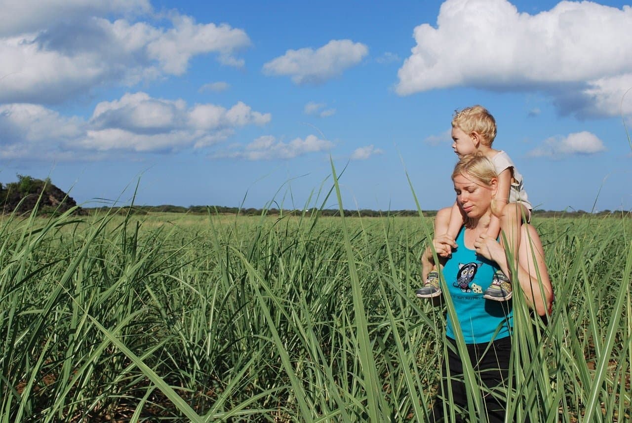Kantaa unessa - Unien Tulkinta